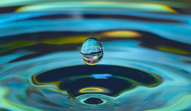 Community Impact | Noblis