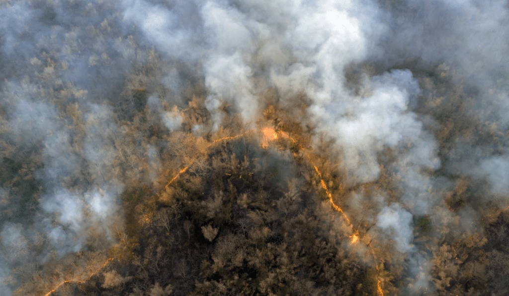 Mapping the Flames: Foundation for an Early Warning Wildland Fire System | Noblis
